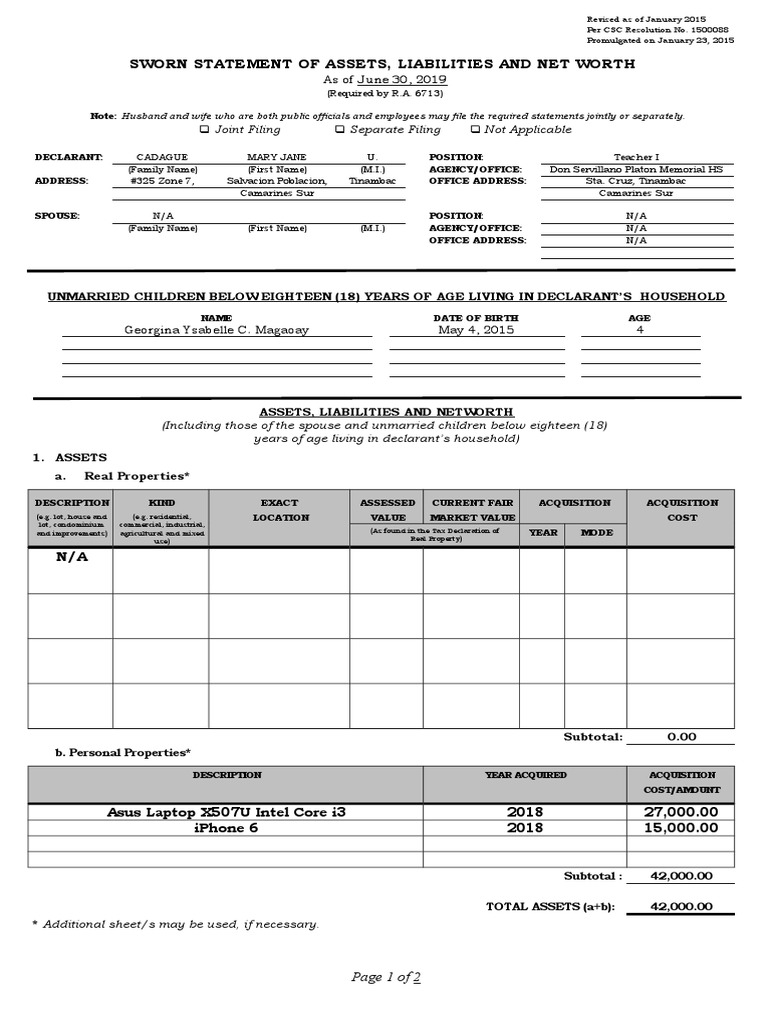 SALN Form 2017 Downloadable Word and PDF File | Identity Document ...