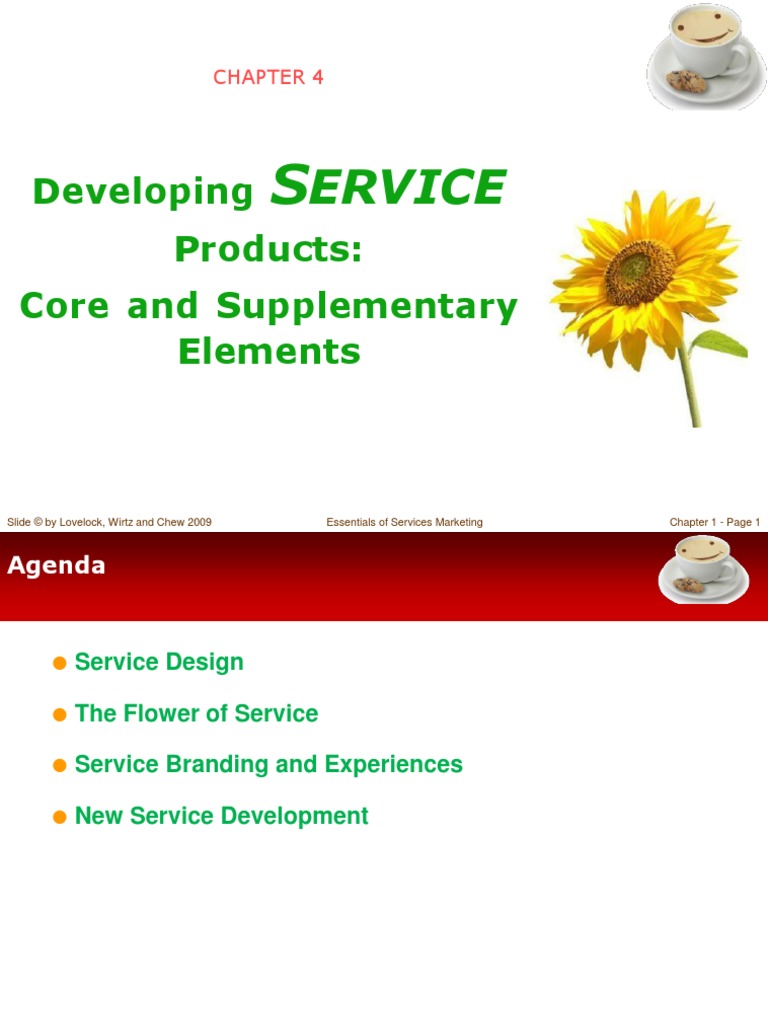 Ervice: Developing Products: Core and Supplementary Elements | PDF ...