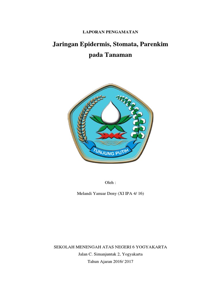 Laporan Pengamatan Jaringan Epidermis, Stomata, Parenkim Pada Tanaman | PDF Laporan Pengamatan Jaringan Epidermis, Stomata, Parenkim Pada Tanaman | PDF