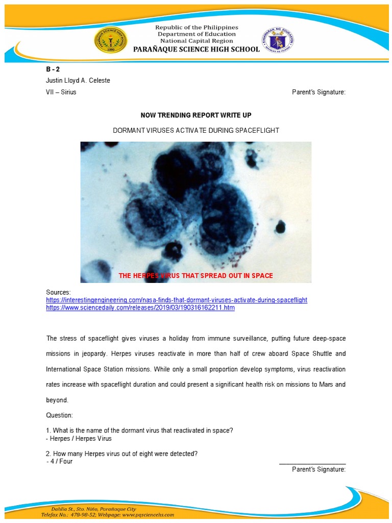 Parsci Header and Footer | PDF