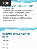 Development of Occlusion | PDF | Tooth | Mouth