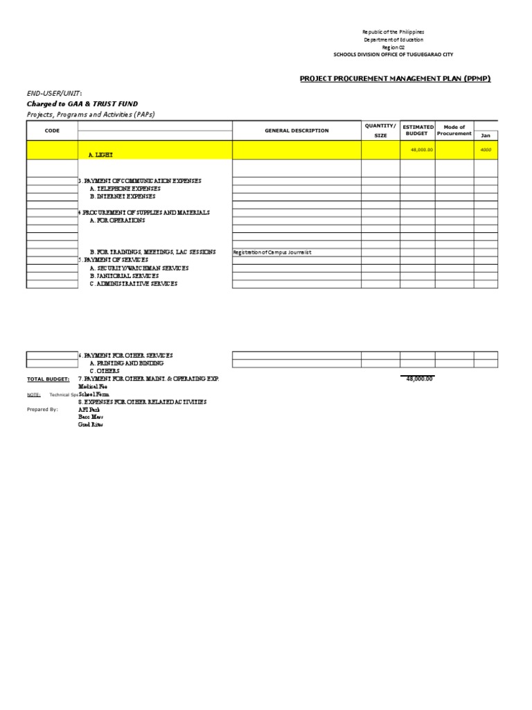 2019 PPMP and App-Non Cse Form | PDF | Government | Business