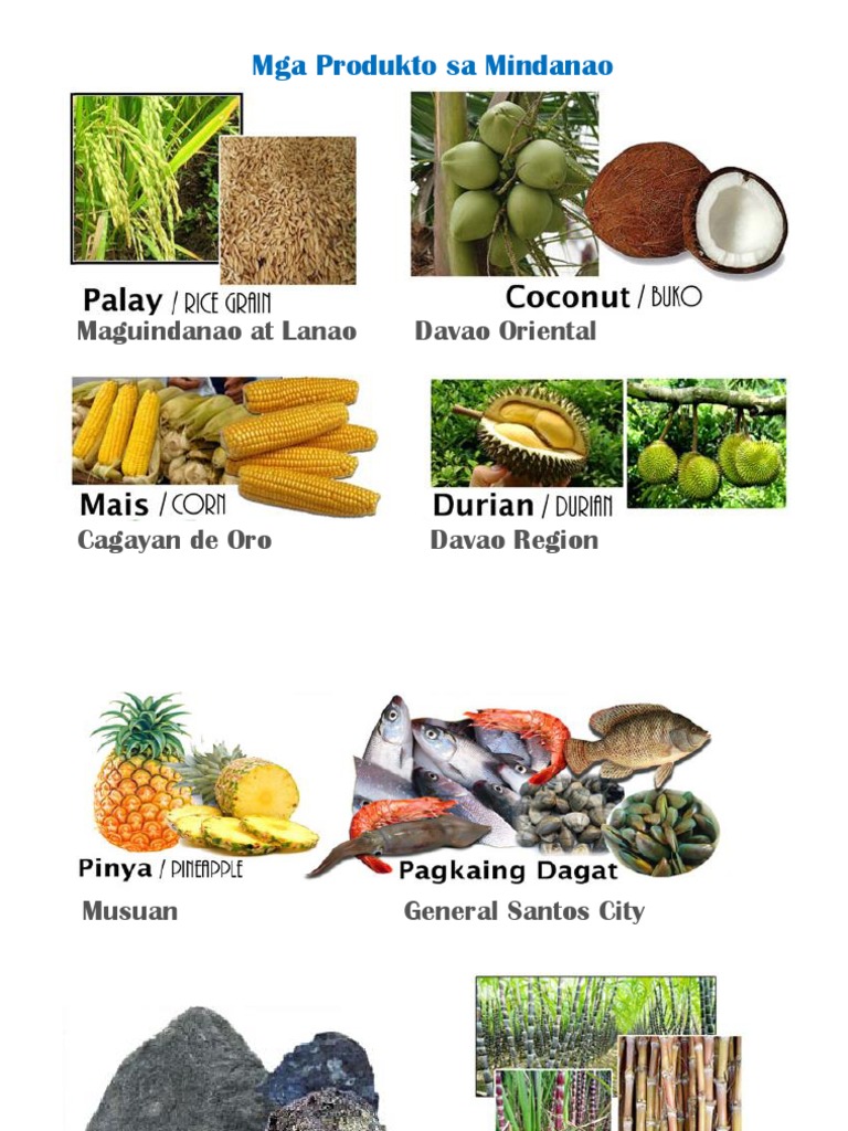 Mga Produkto Sa Mindanao | PDF