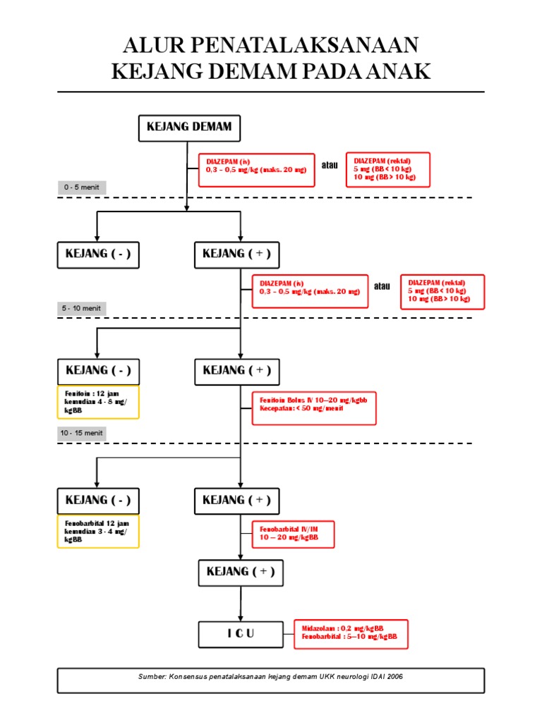 Alur Tatalaksana Kejang Demam | PDF