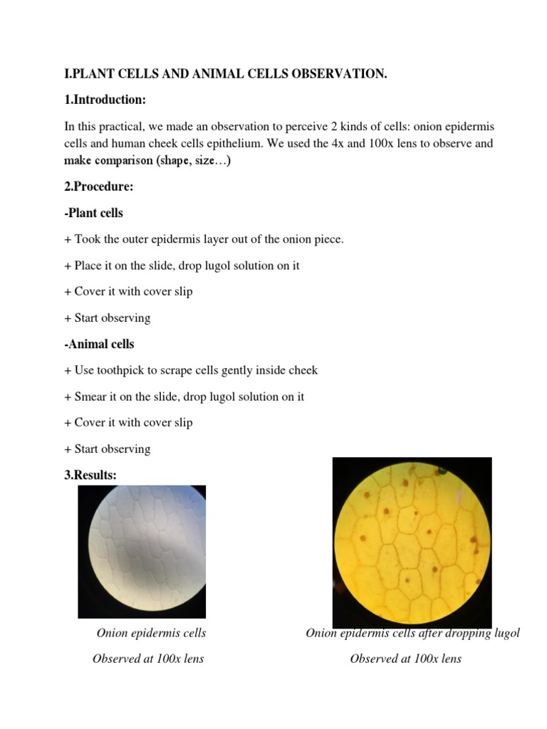 I.Plant Cells and Animal Cells Observation | PDF | Self-Improvement ...