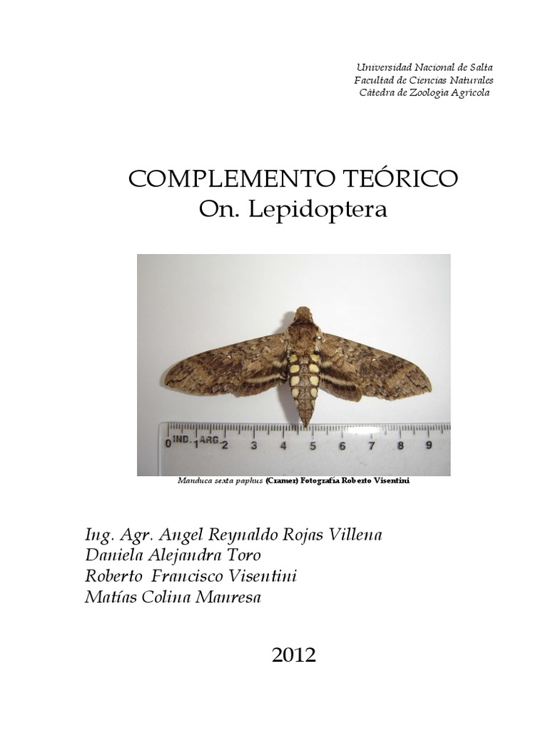 Orden Lepidoptera | PDF | Lepidópteros | Plantas