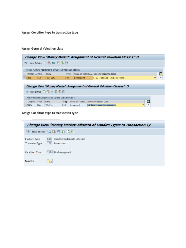 Assign Condition Type To Transaction Type | PDF