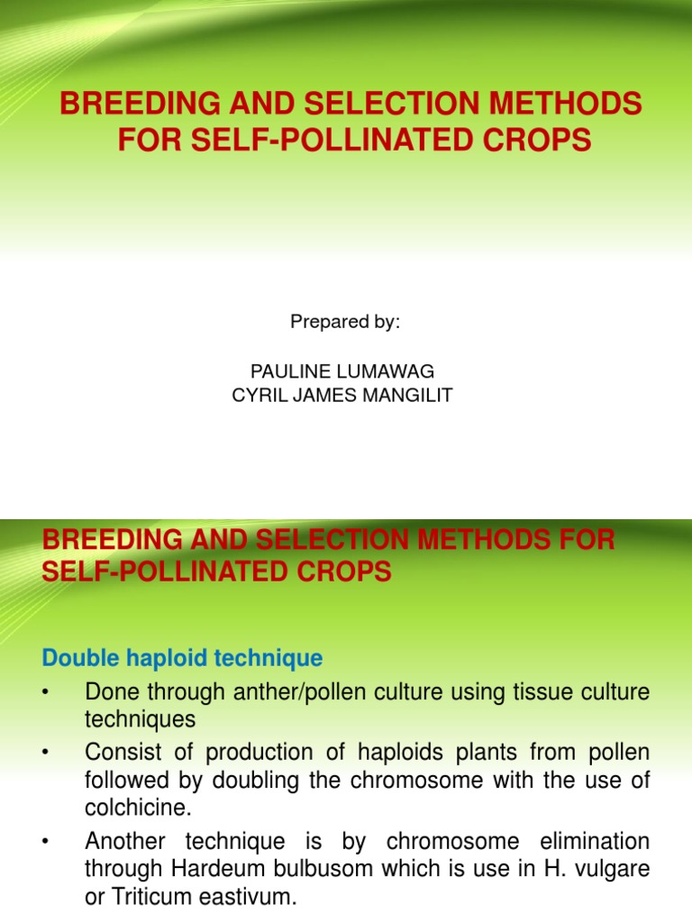 Methods for Improving Self-Pollinated Crops Through Breeding Techniques ...
