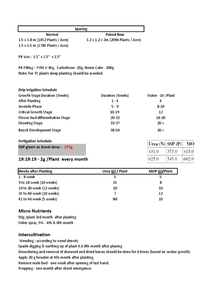 Banana Cultivation Chart | Download Free PDF | Horticulture And ...