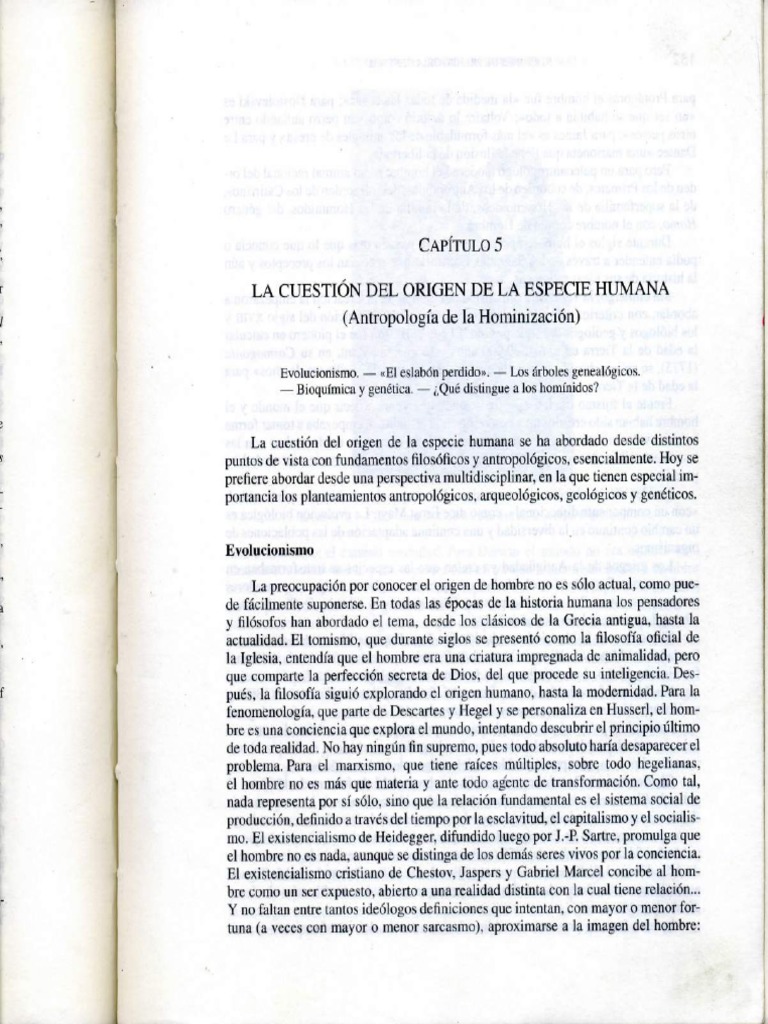 Nociones De Prehistoria General Jorge Juan Eiroa Capitulo 5 Pdf Pdf