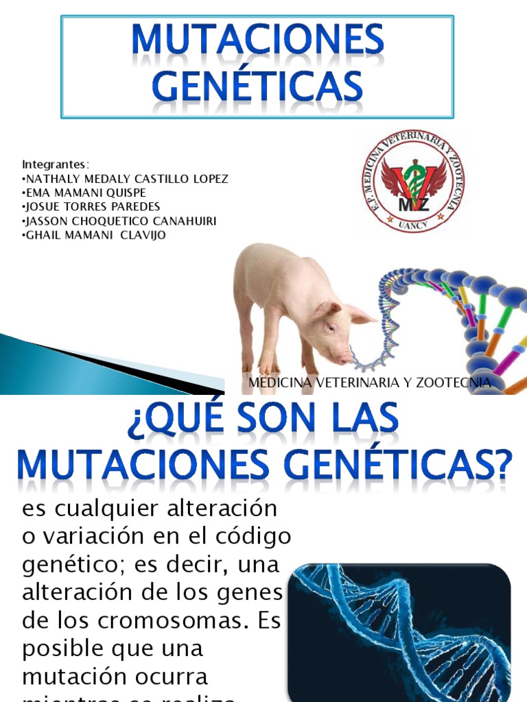 mutaciones geneticas | Mutación | Gene