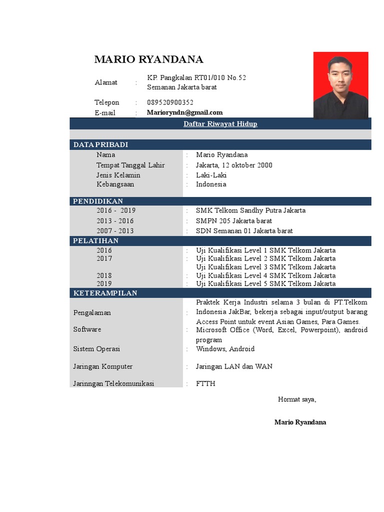 CV Mario | PDF