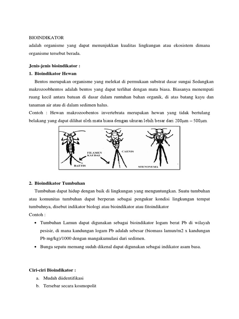 Bioindikator | PDF | Sains & Matematika | Teknologi & Rekayasa