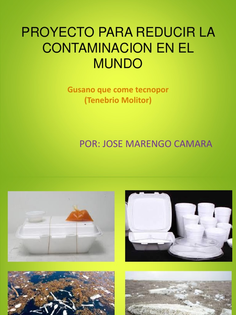 Proyecto para Reducir La Contaminacion en El Mundo | PDF | Naturaleza