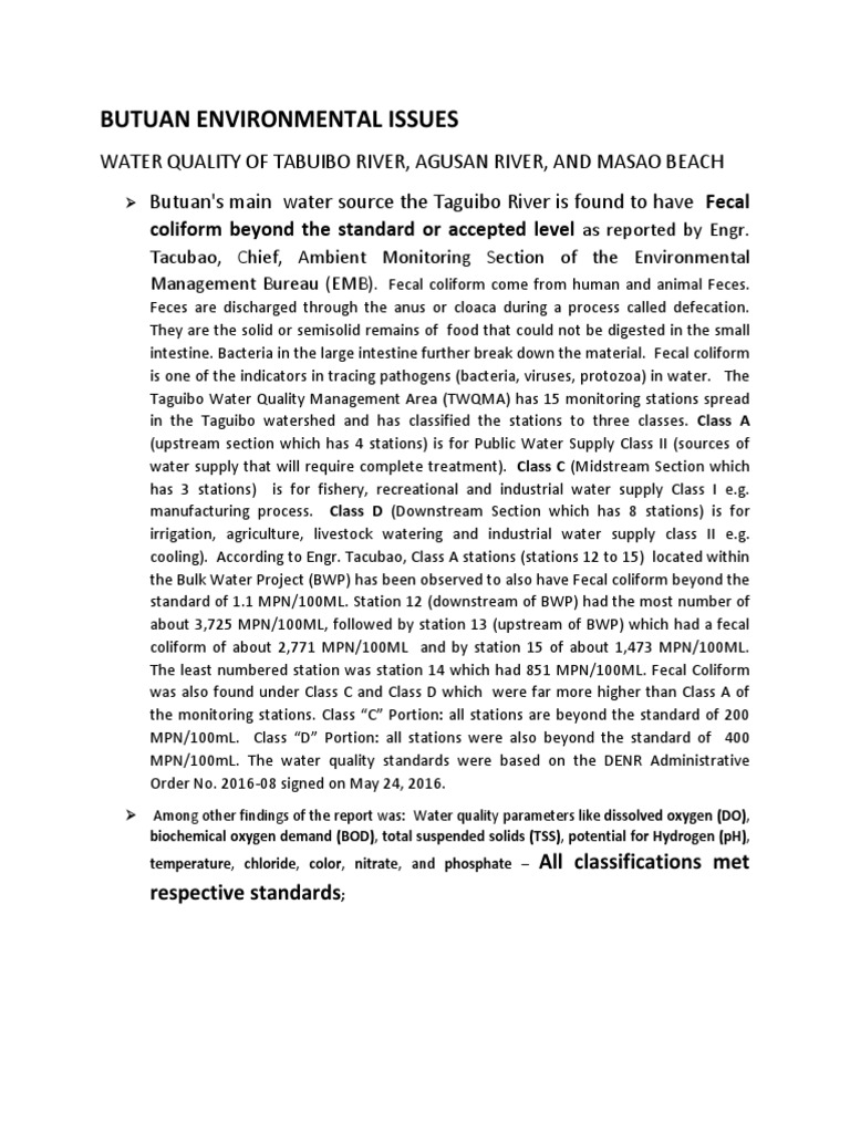 Butuan Environmental Issues | PDF | Feces | Water