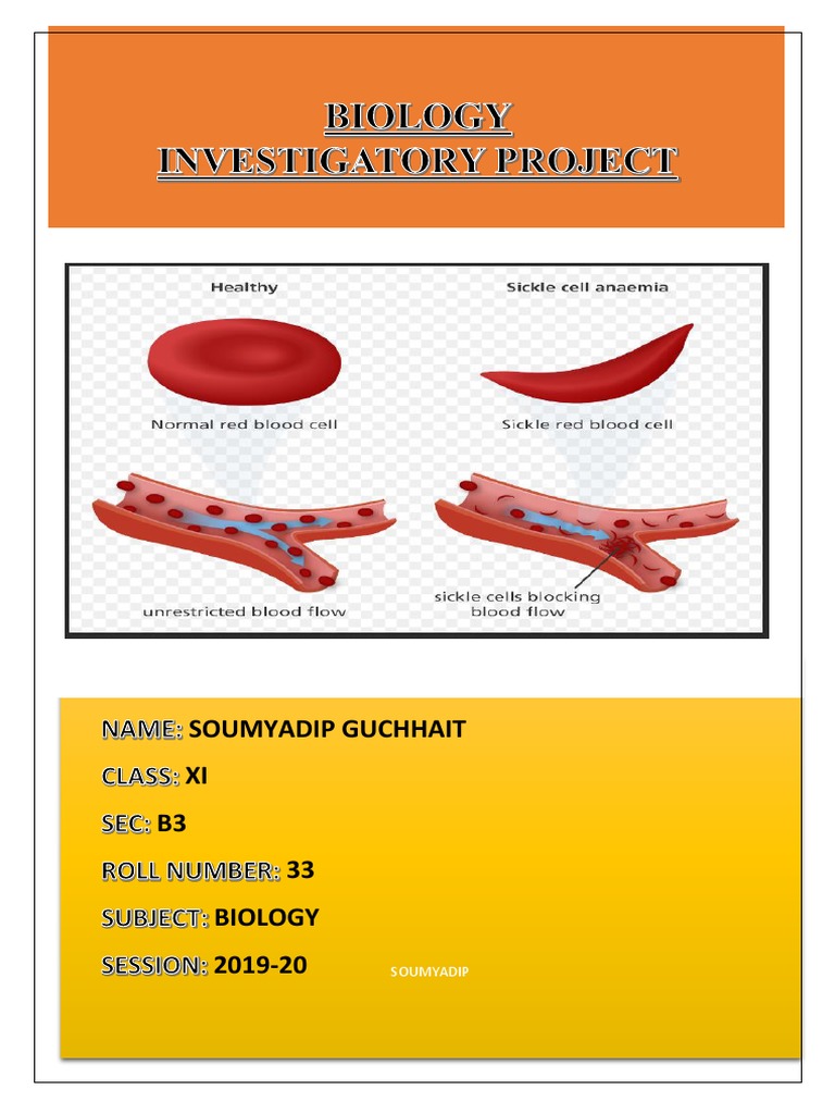 Sickle Cell Anemia Overview and Care | PDF | Hematopoietic Stem Cell ...