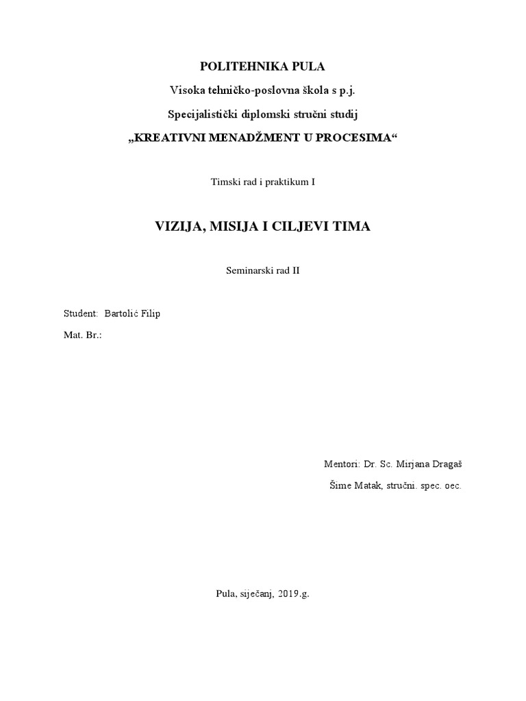 Vizija, Misija I Ciljevi Tima | PDF