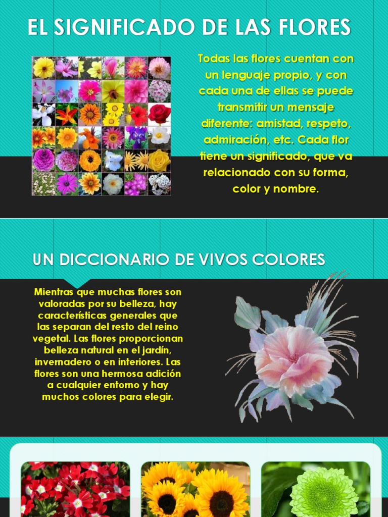 El Significado de Las Flores | PDF | Color | Amor