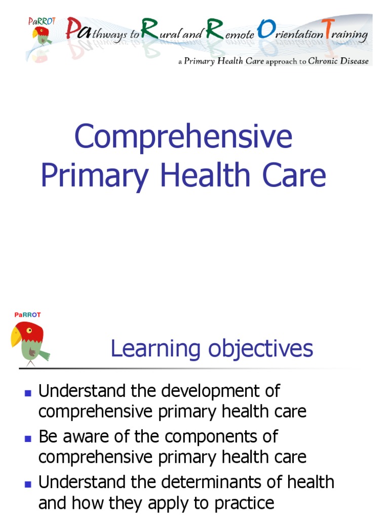 Comprehensive Primary Health Care | PDF | Health Care | Behavioural ...