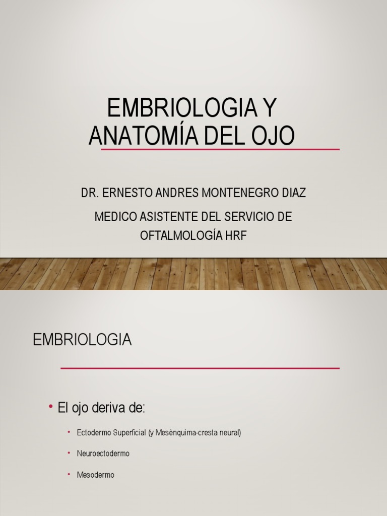 Embriologia Anatomia Del Ojo | PDF | Ojo humano | Córnea
