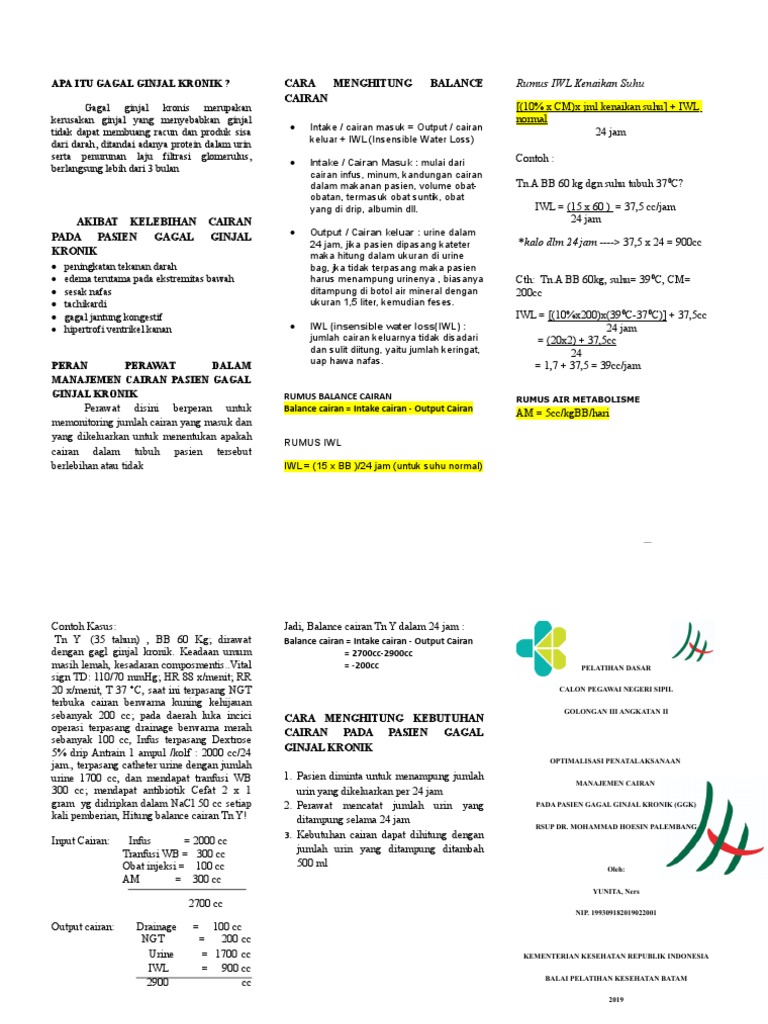 Leaflet Balance Cairan GGK | PDF