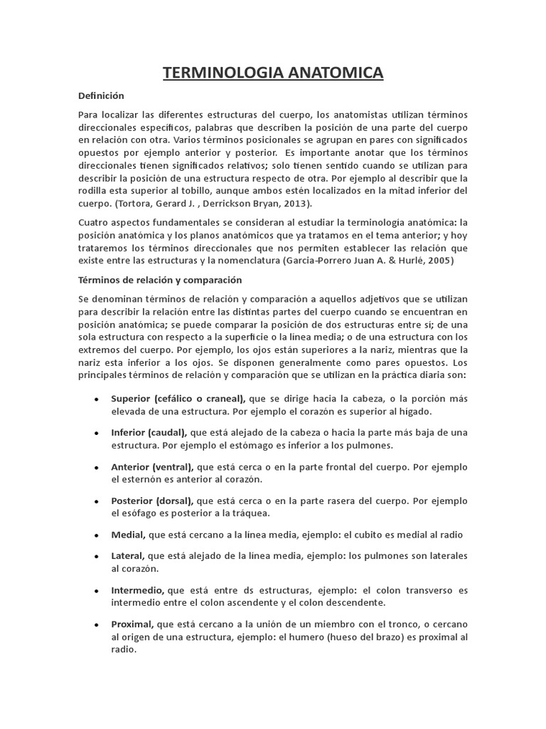 Terminologia Anatomica | PDF | Mano | Anatomía humana