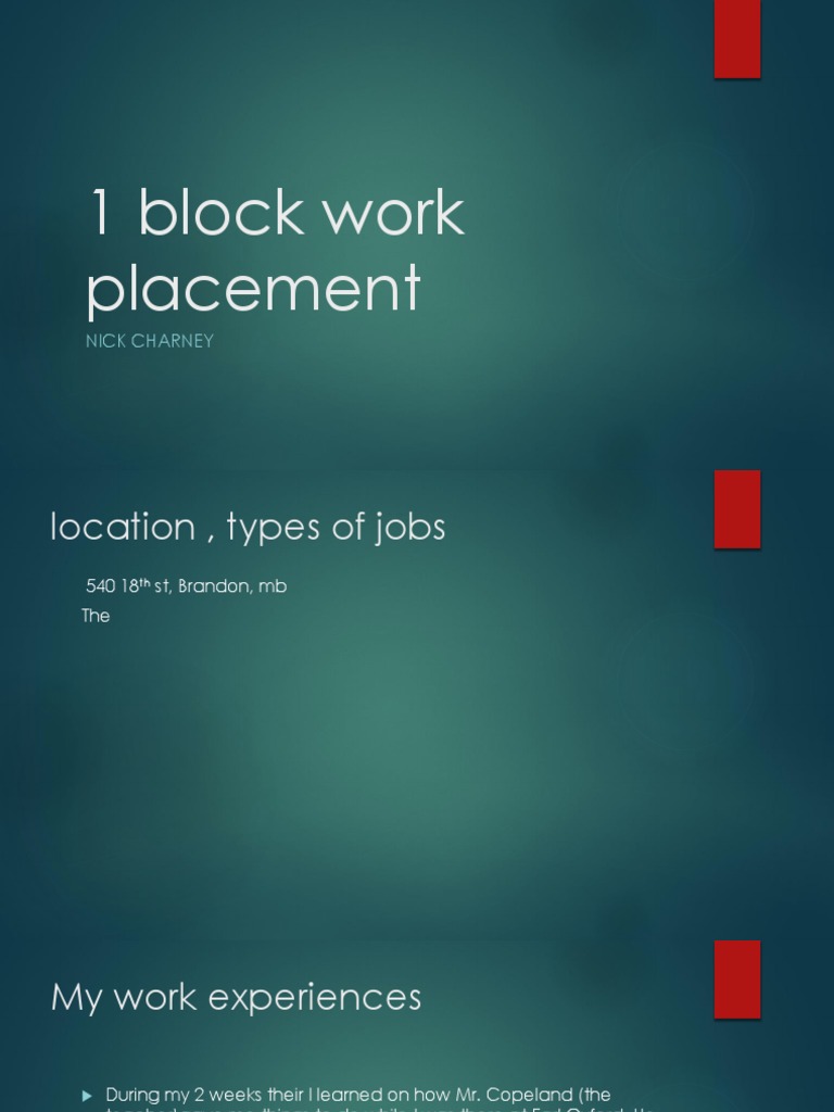 Work Experience at Cardinal Signs | PDF | Nature