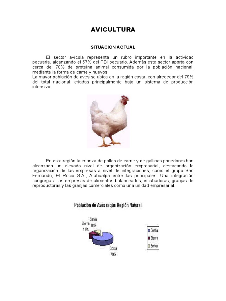 Libro de Aves | PDF | Aves | Pollo