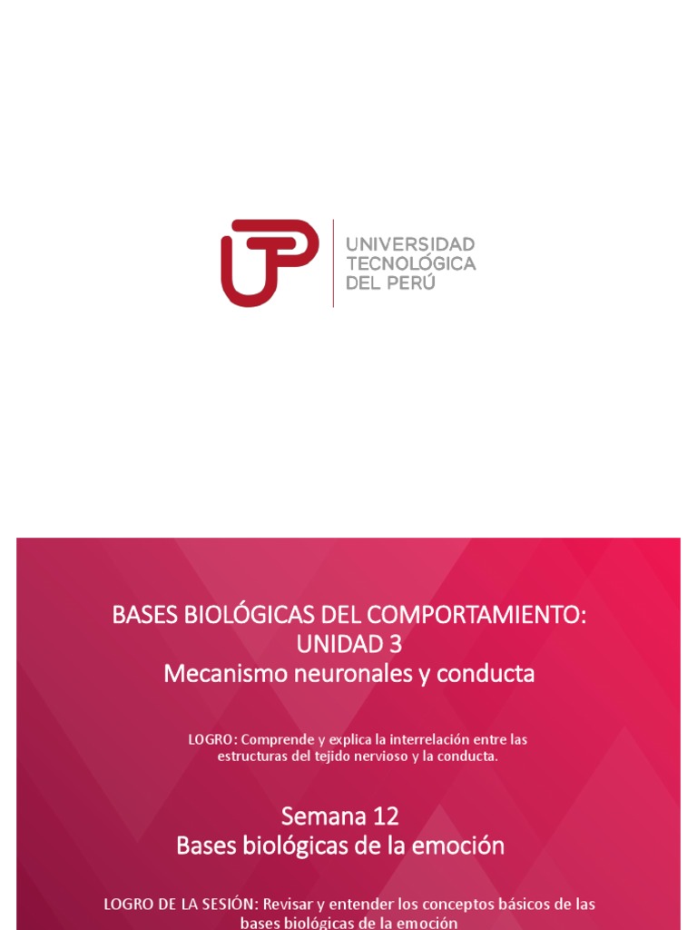 Bases Biologicas De La Emocion Pdf Experiencia Subjetiva Las