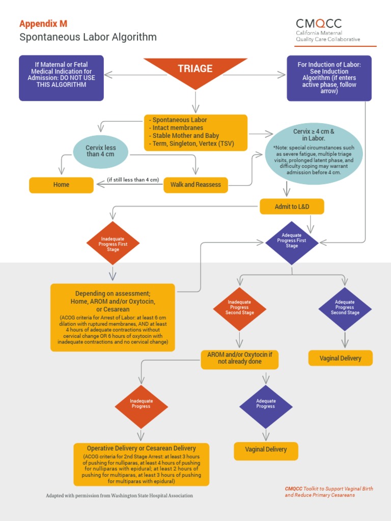 Appendix M - Labor Algorithm | PDF | Caesarean Section | Childbirth
