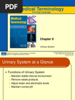 Urinary System Medical Terminology Guide | PDF | Kidney | Urinary System