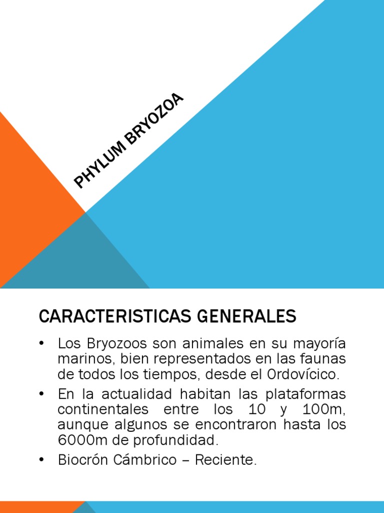 Phylum Bryozoa | PDF | Fósil | Organismos