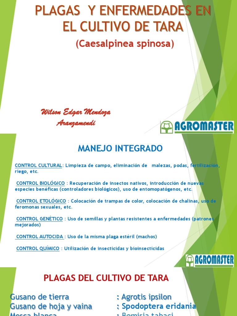 Manejo Fitosanitario en Tara | PDF | Insectos | Insectos y humanos