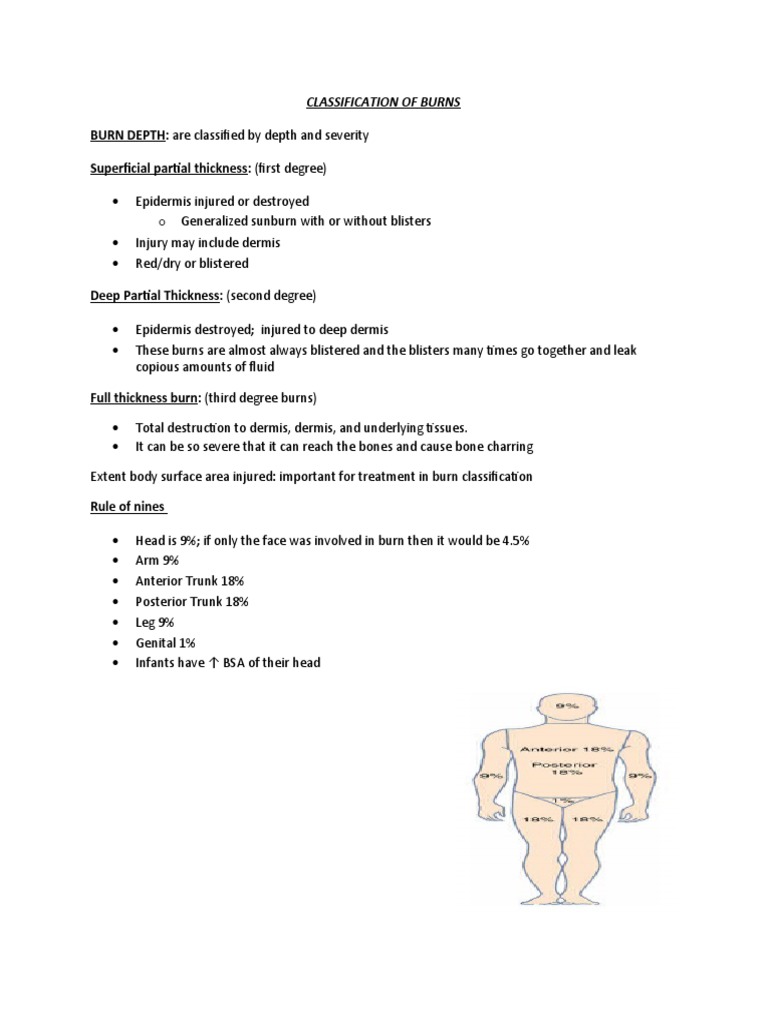 BURN DEPTH: Are Classified by Depth and Severity Superficial Partial ...
