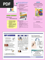 Contoh Form PIO | PDF