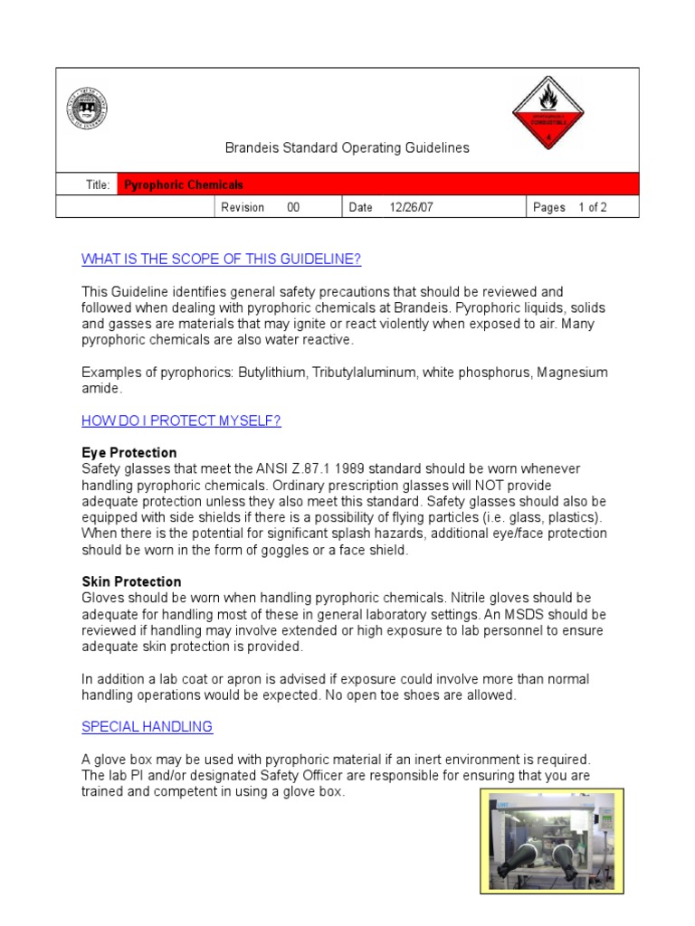 What Is The Scope of This Guideline?: Pyrophoric Chemicals | PDF ...