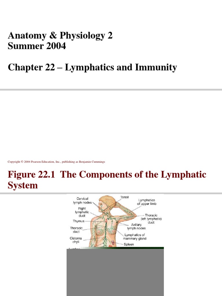 Anatomy & Physiology 2 Summer 2004 Chapter 22 - Lymphatics and Immunity ...