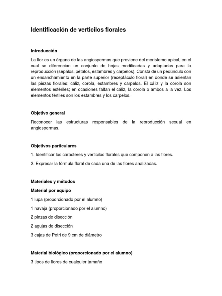 Identificación de Verticilos Florales | PDF | Flores | Ramas de la botánica
