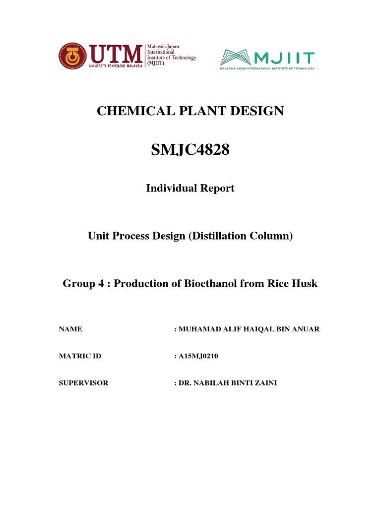 Individual Chemical Process Engineering Design (Distillation Column ...