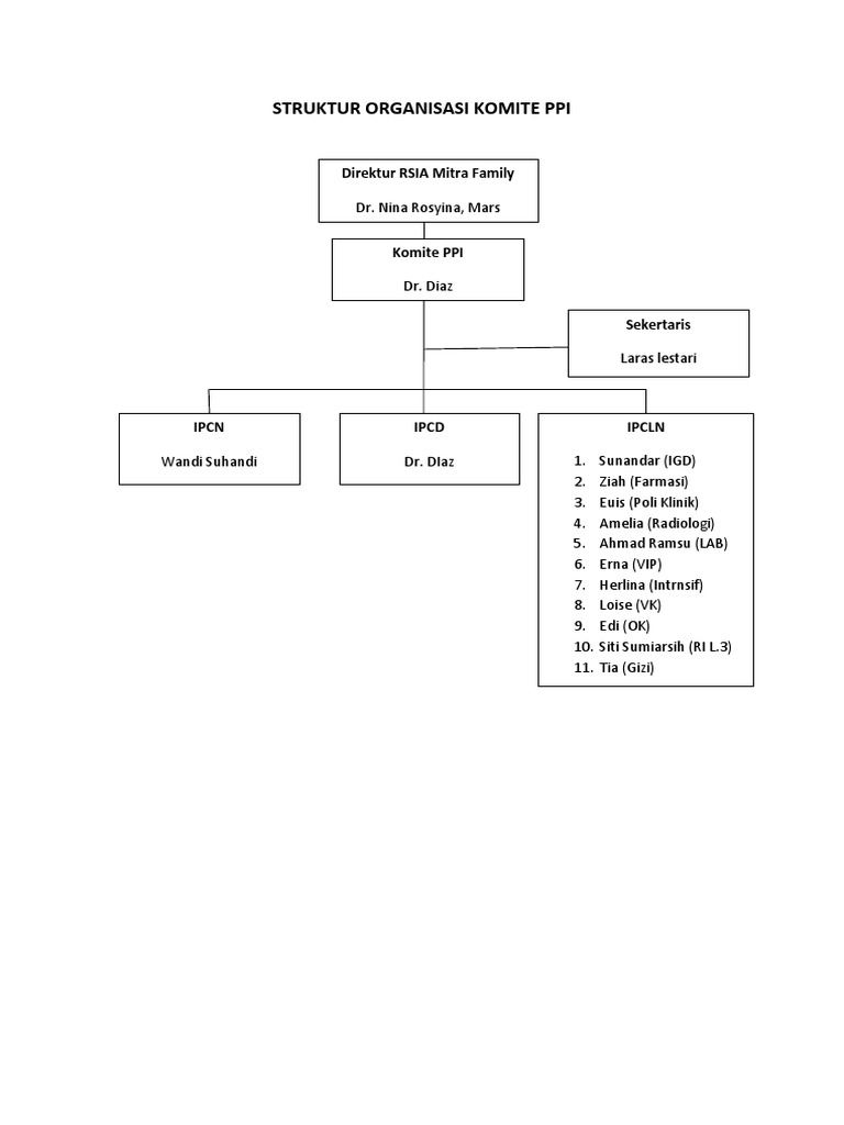 Struktur Organisasi Komite Ppi | PDF