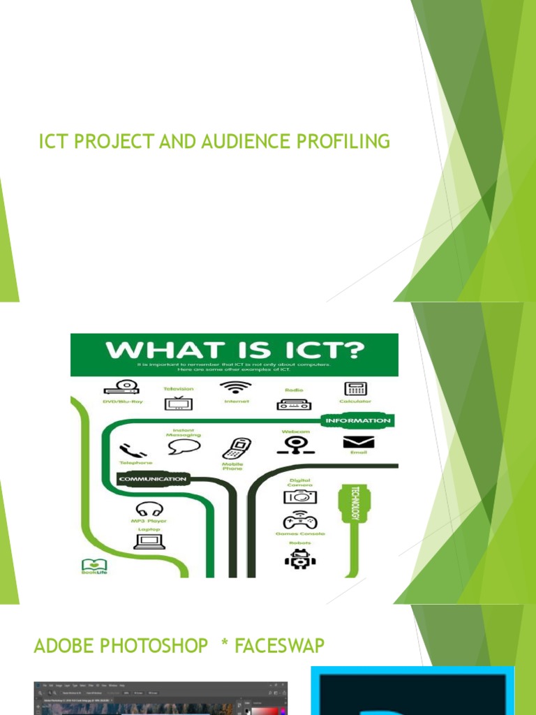 Ict Project and Audience Profiling | PDF | Brand | Behavioural Sciences