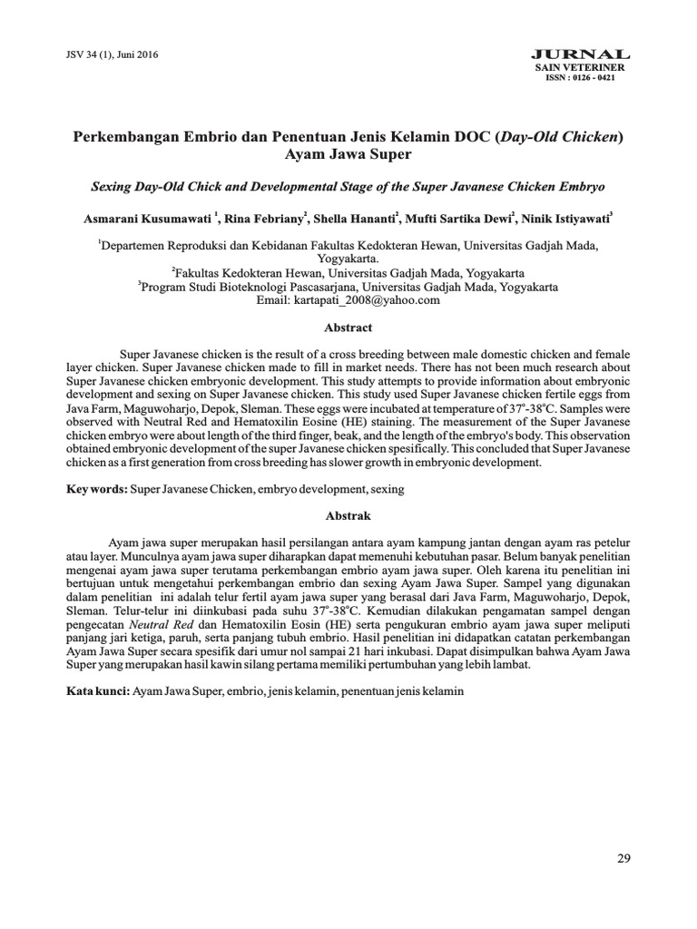 Embrio & Sexing Ayam Jawa Super | PDF | Embrio | Ayam