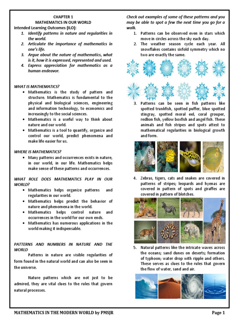 Mathematics in The Modern World | PDF | Pattern | Mathematical Model