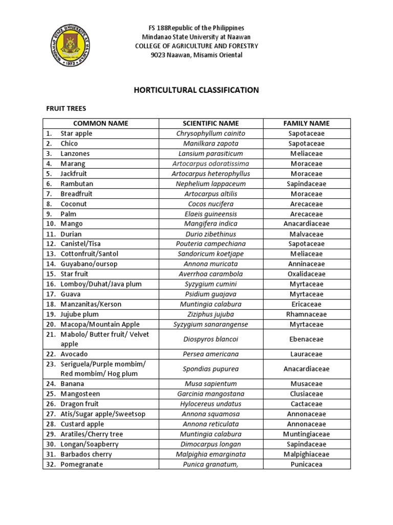 Horticultural Classification: Fruit Trees Common Name Scientific Name ...