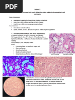 Kurt's Notes Pathology | PDF