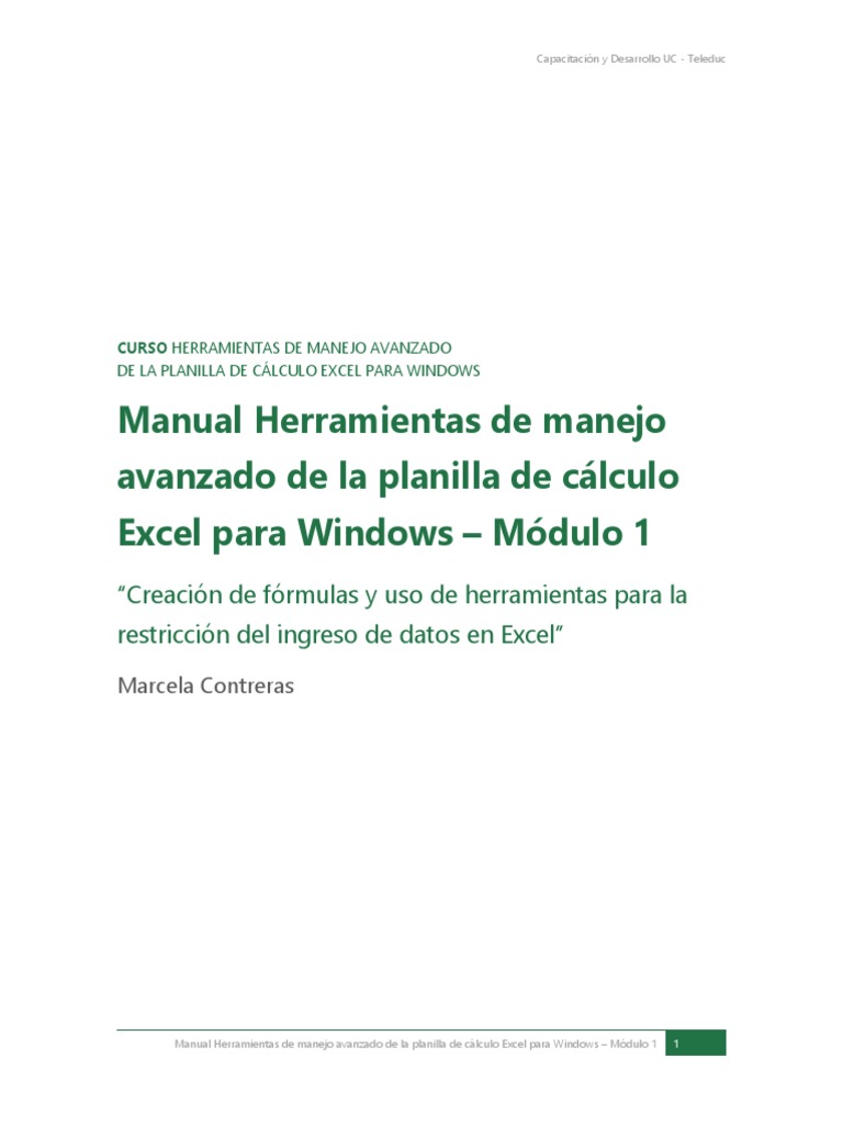 Módulo 1 - Manual Excel Avanzado | PDF | Hoja de cálculo | Microsoft Excel
