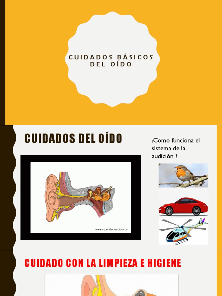 Cuidados Básicos Del Oído | PDF