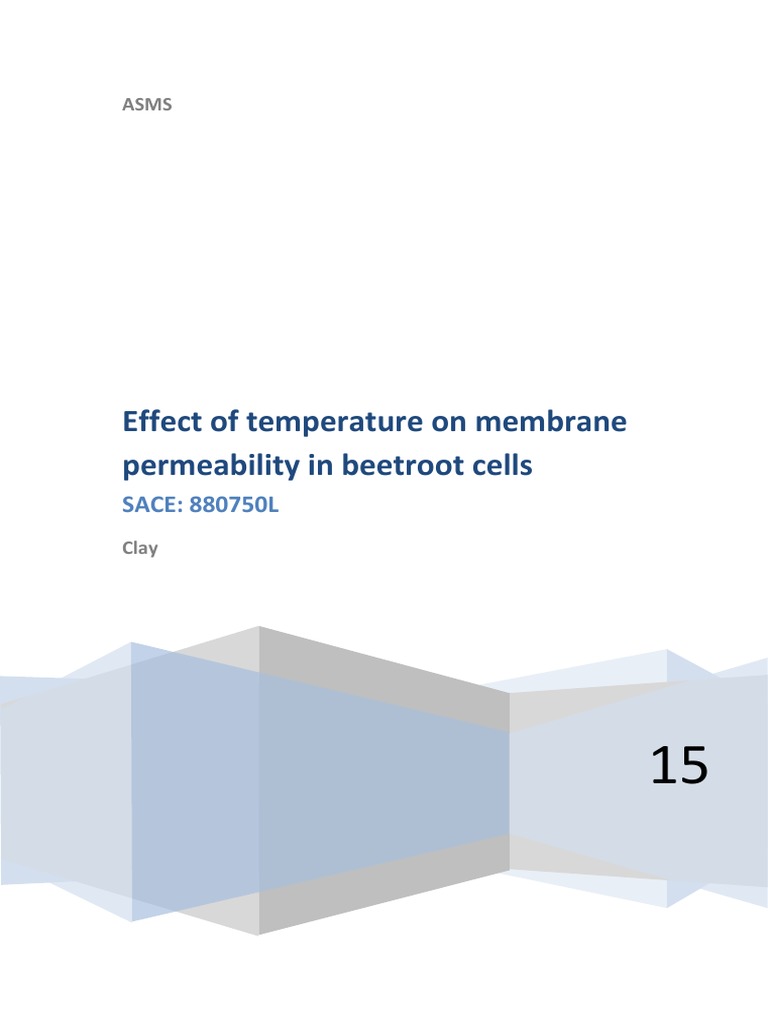 Effect of Temperature On Membrane Permeability in Beetroot Cells | PDF ...