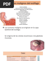 2.7. Exploración Testicular. 2.8. Escroto. 2.9. Técnicas y Maniobras de ...
