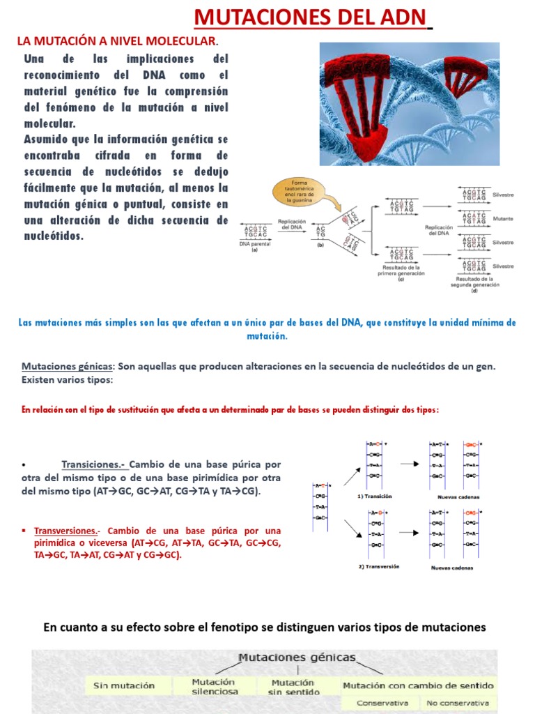 Las mutaciones del ADN a nivel molecular: causas, tipos y mecanismos de ...